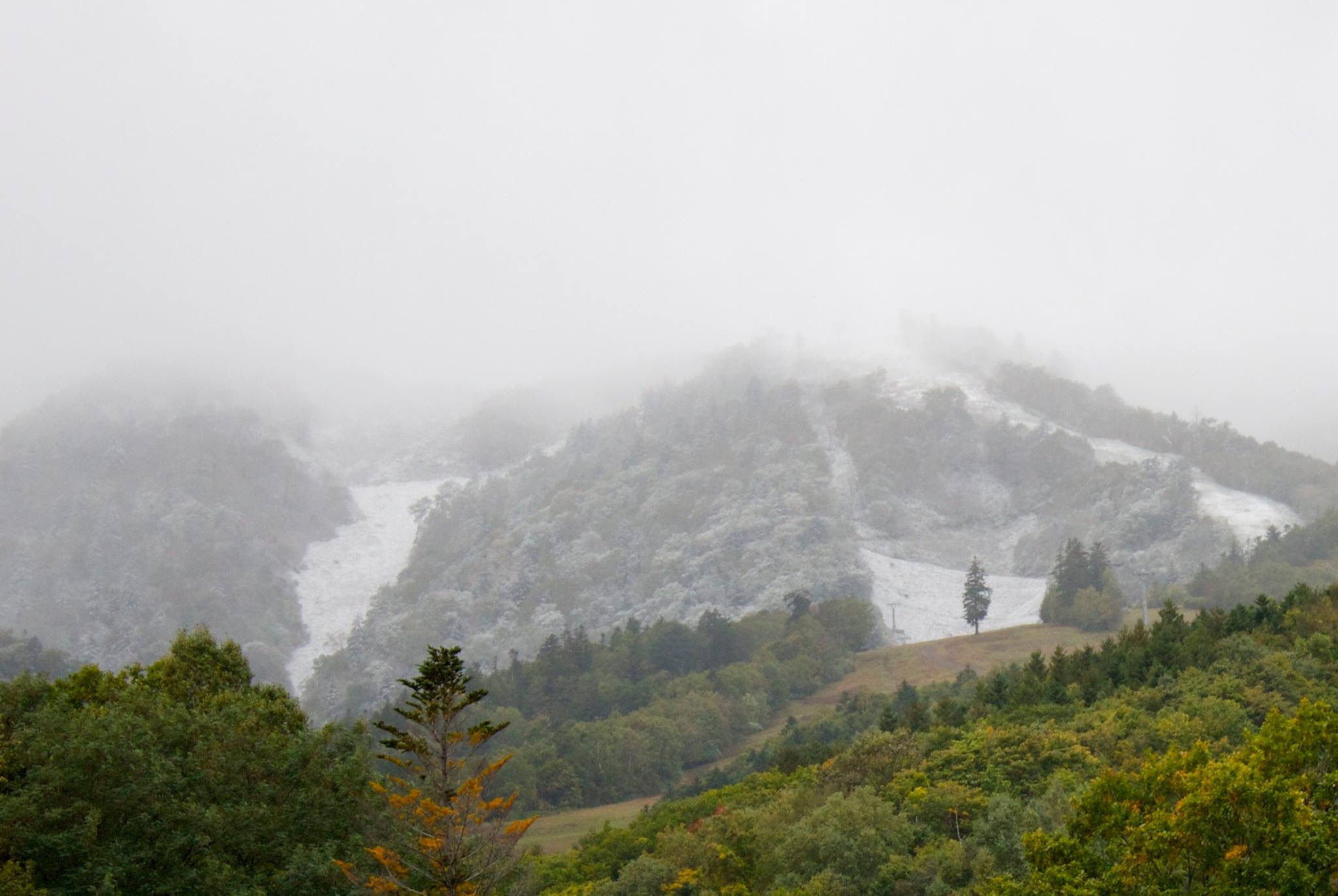 First snow at Furano - who is excited? | Snowscene