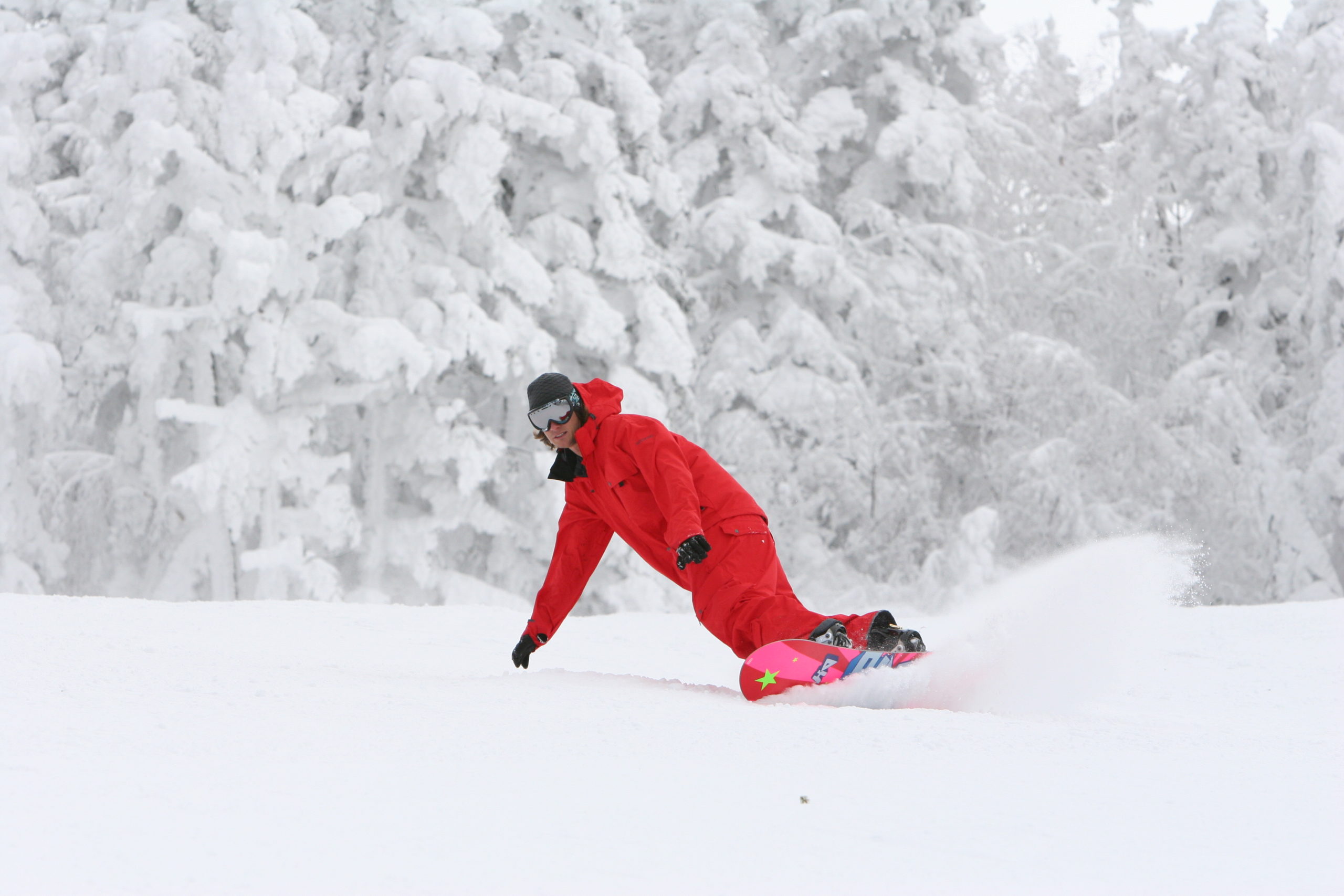 Shiga Kogen | Snowscene