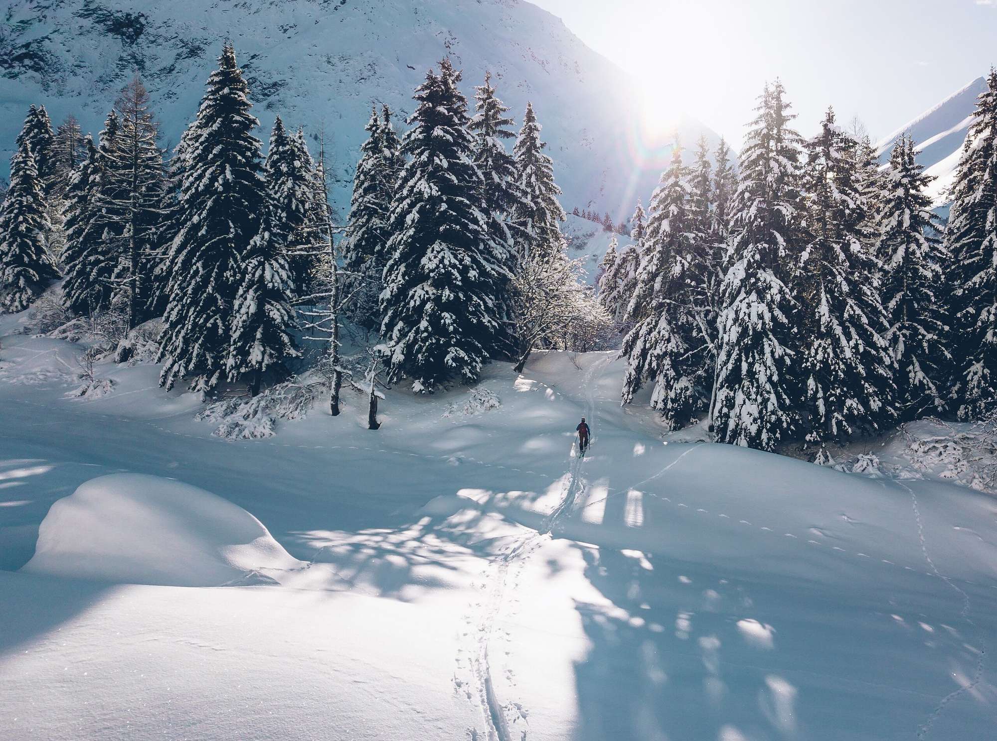 Our Story | Snowscene