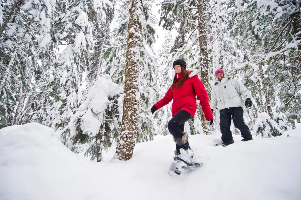 Snowshoe | Snowscene