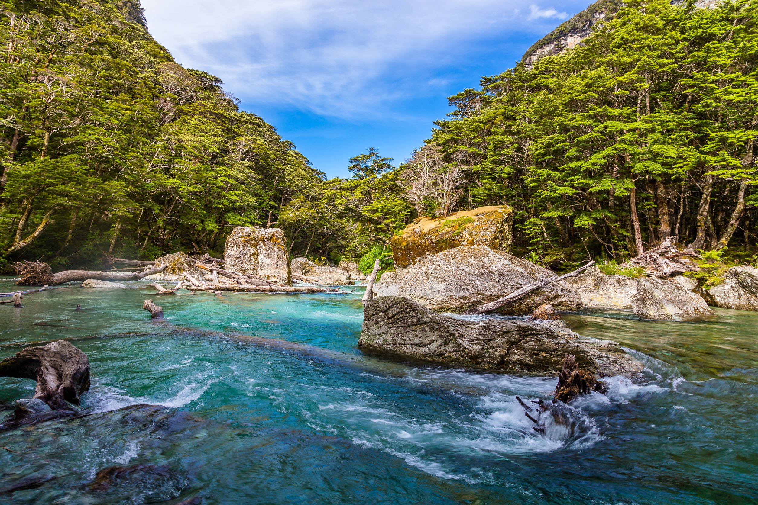The Routeburn Track | Snowscene