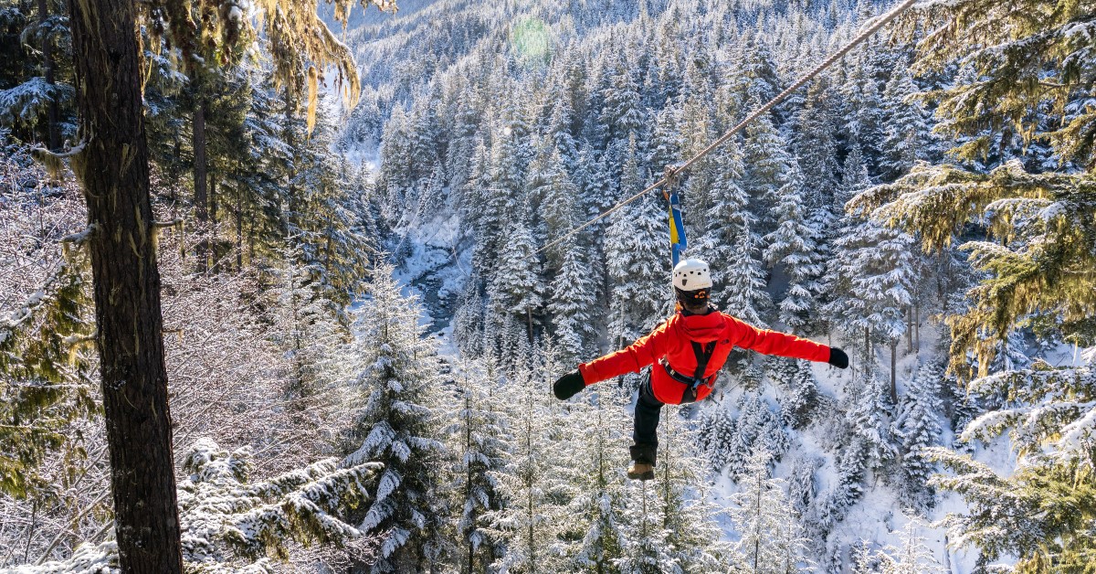 Ziptrek | Snowscene